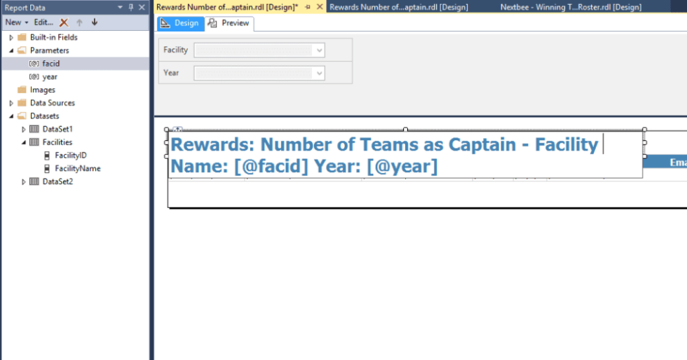 How to display a report parameter label field in a Microsoft